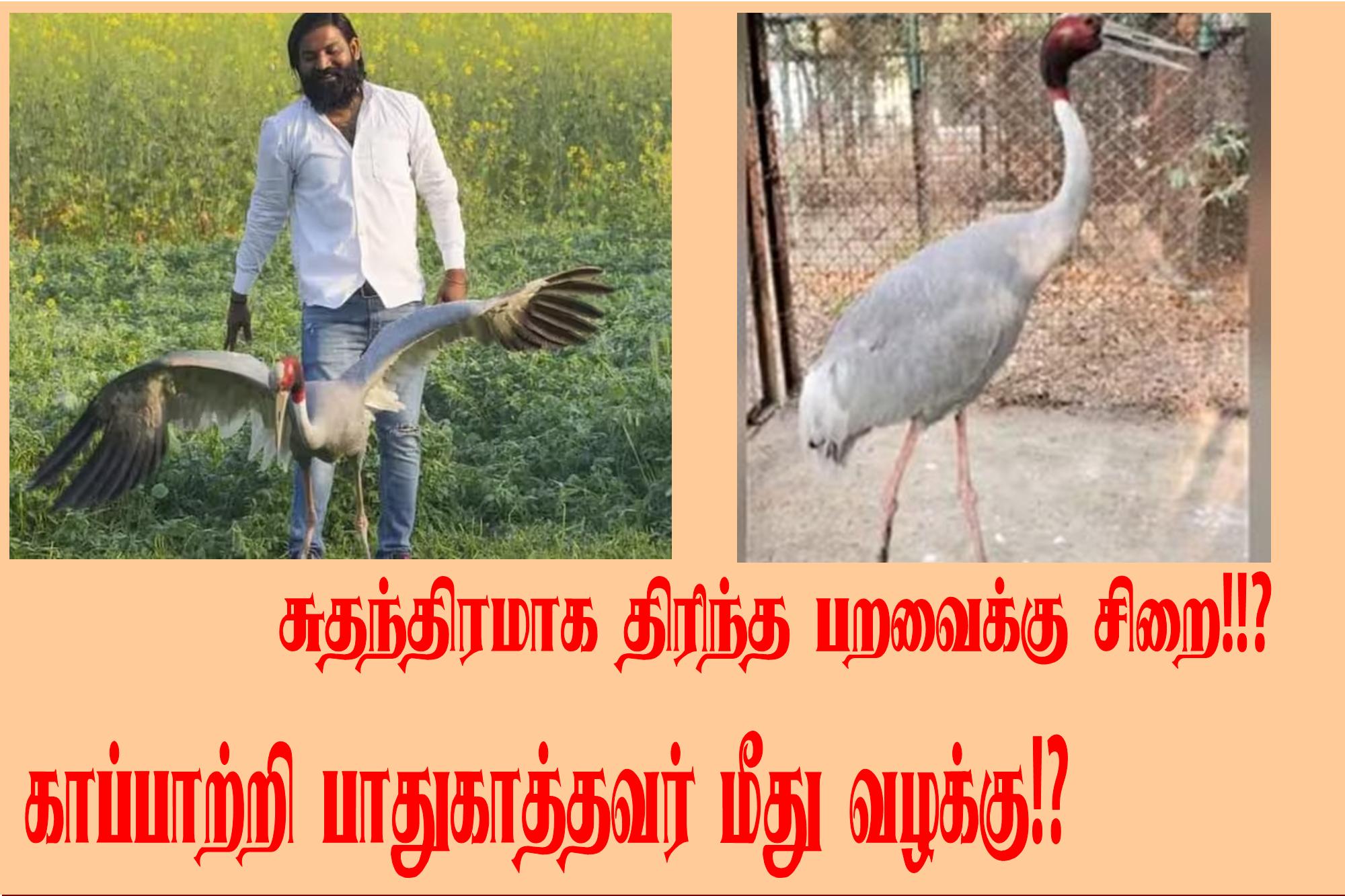 செய்திகள் | Thennarasu